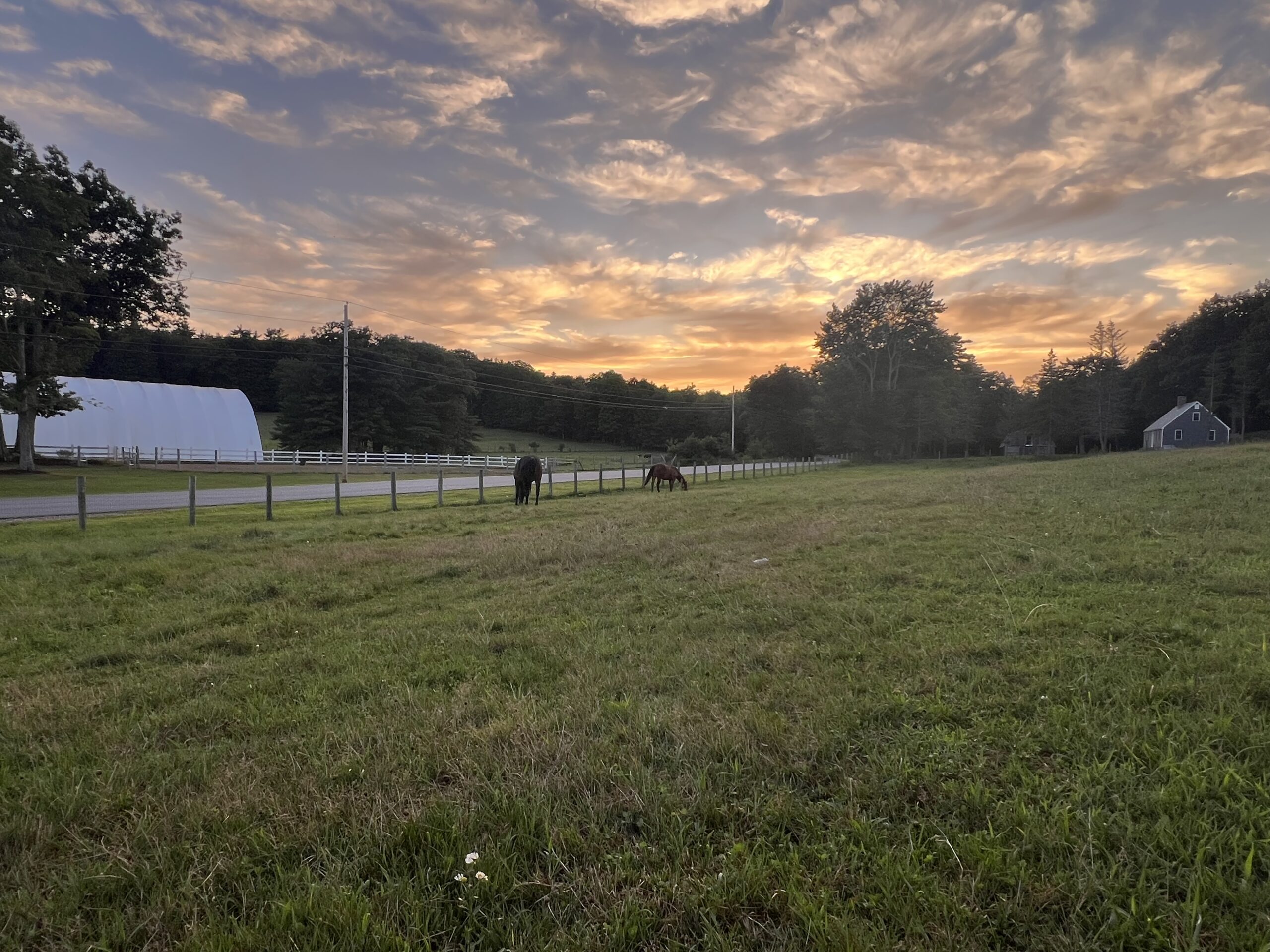A Philosophy Rooted in Kindness - Rockwall Acres Farm